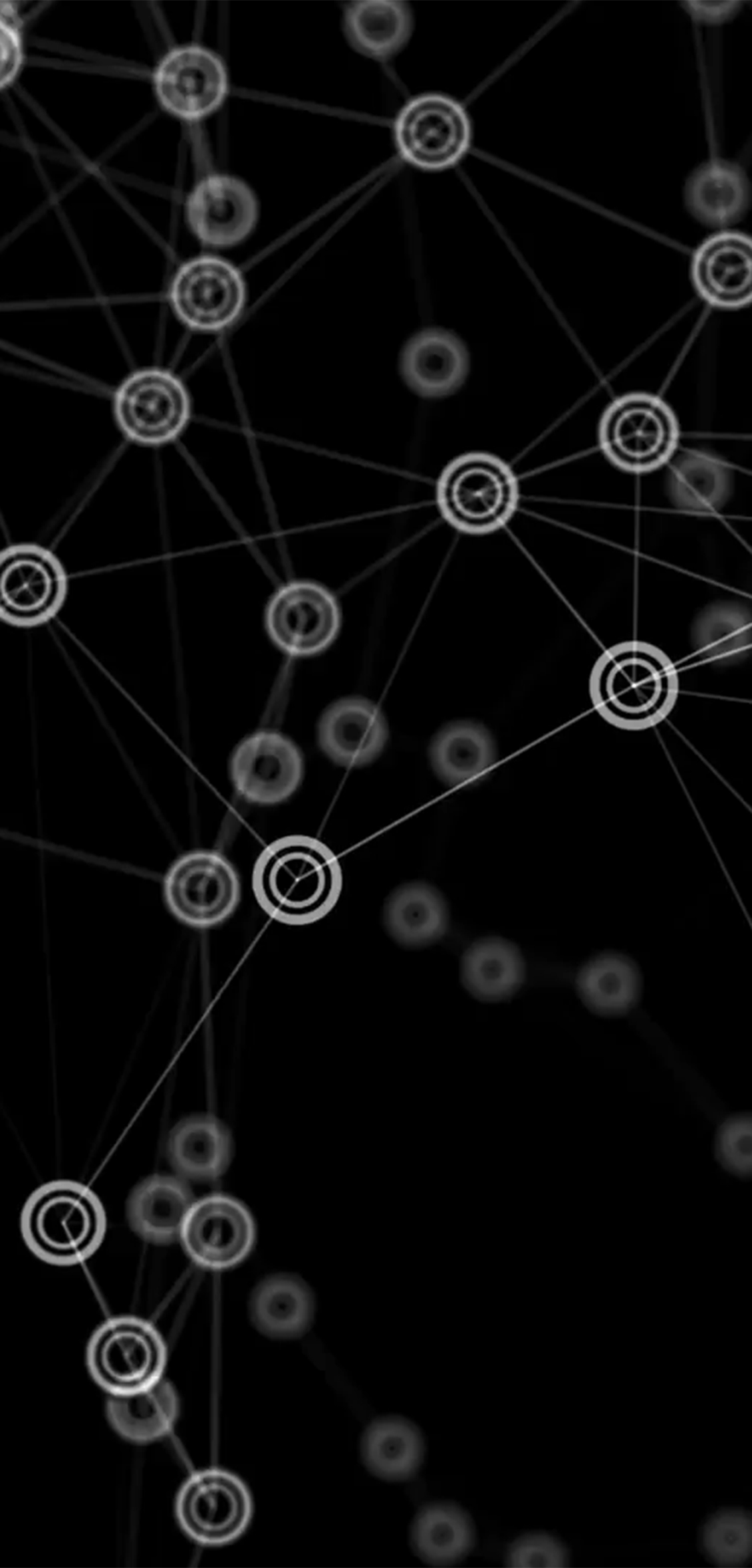 Liquid Bold | Design. Innovation. The Future.